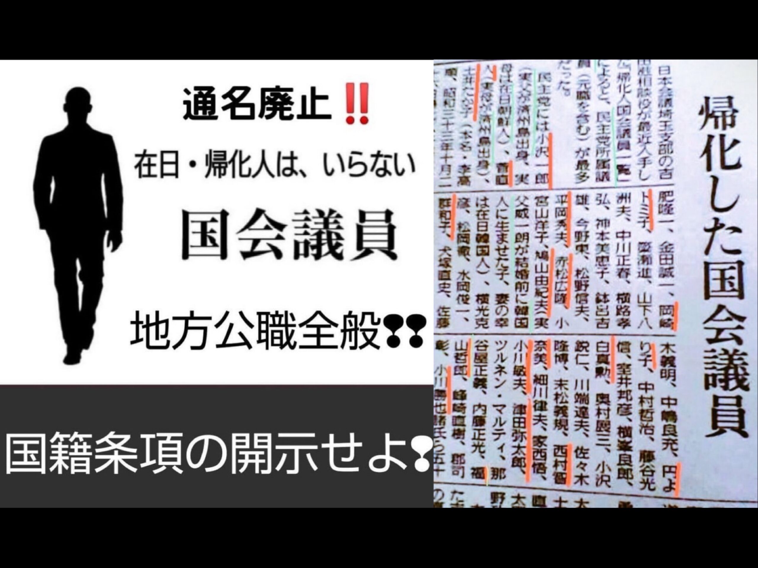 【通名廃止】『国会議員は国籍条項の開示せよ！』これをやれば日本は変わる？ | jnnavi